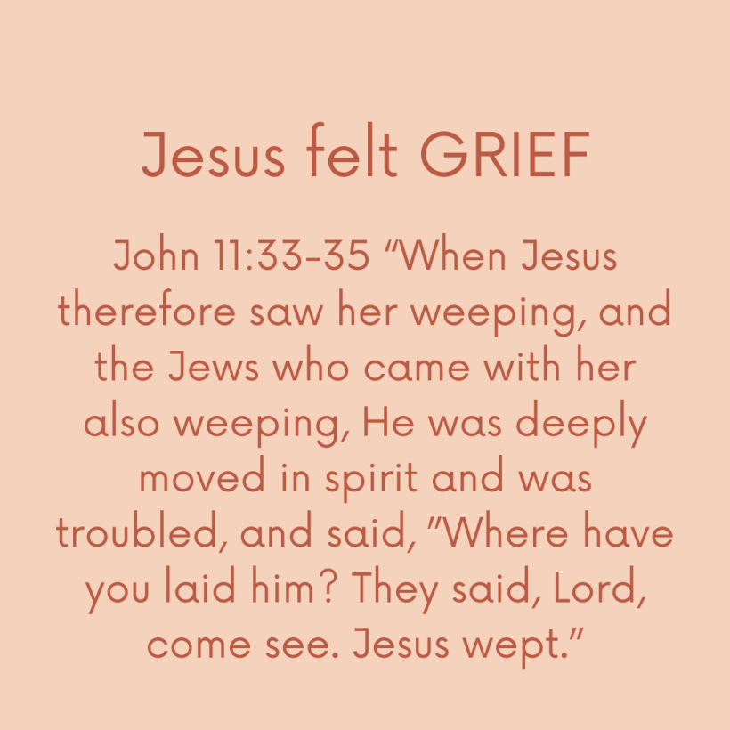 Jesus Felt BIG EMOTIONS and Why We Should, Too – ~JENNY RIEFLIN MINISTRIES~
